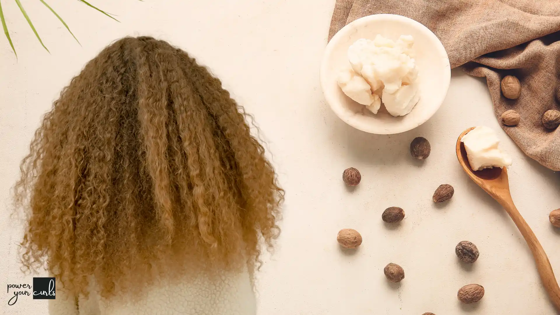 The Benefits Of Shea Butter For Gorgeous Hair » Power Your Curls